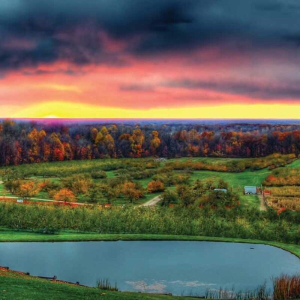 Countryside Concerts Venues – Apollo's Fire